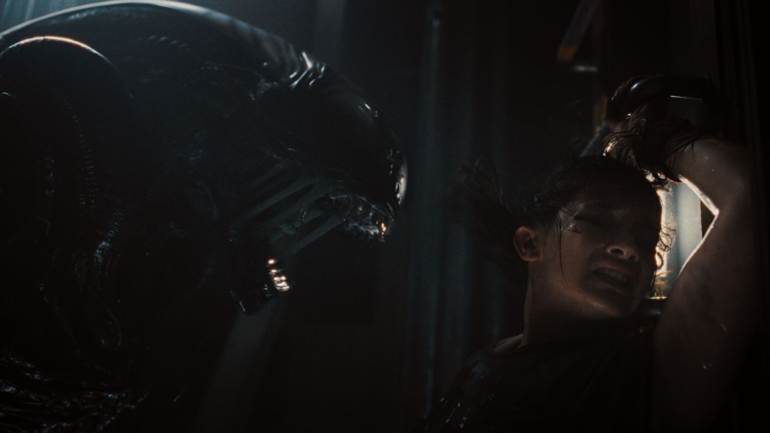 Fede Álvarez Breaks Down 'Alien: Romulus' Cocoon Scene